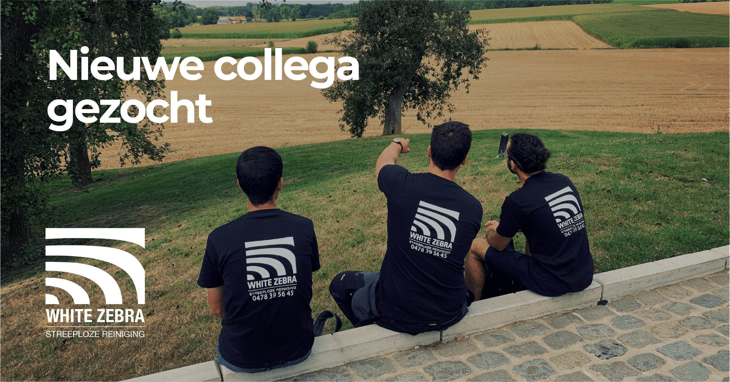 Nieuwe collega gezocht | Green Zebra Verwijderen van groene aanslag